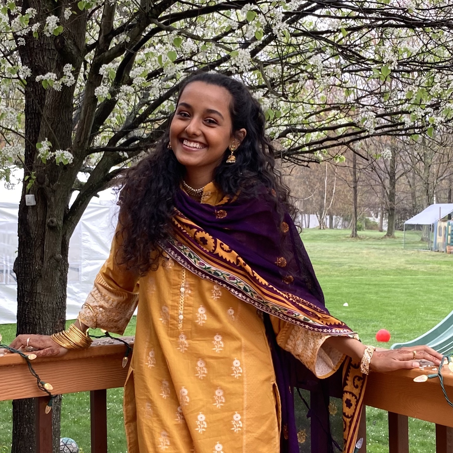 Ask a Transfer Swattie :: Admissions & Aid :: Swarthmore College